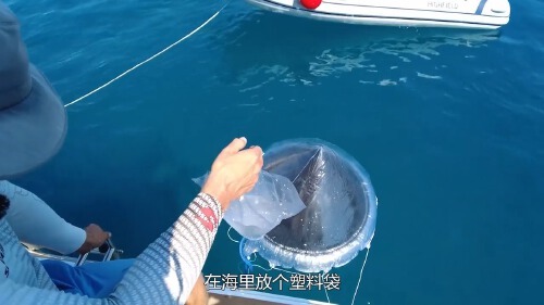 什么是太阳能蒸馏器?充上气灌满海水就能把海水变饮用水