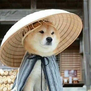 西厂指导员 