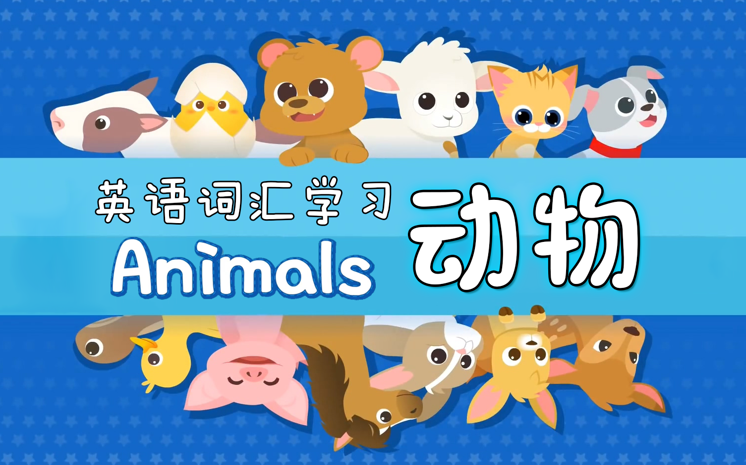 【合集】英语词汇学习——动物,鸟、鱼、哺乳、爬行、两栖类