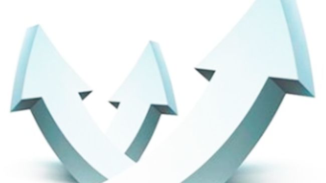 扎实推进乡村振兴建设:把握发展大势,坚持稳中求进