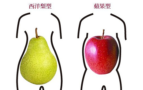 10秒中让你看出你真的胖吗(可能你一直都想错了)