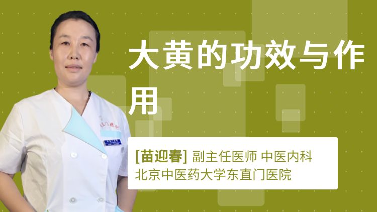大黄的功效与作用