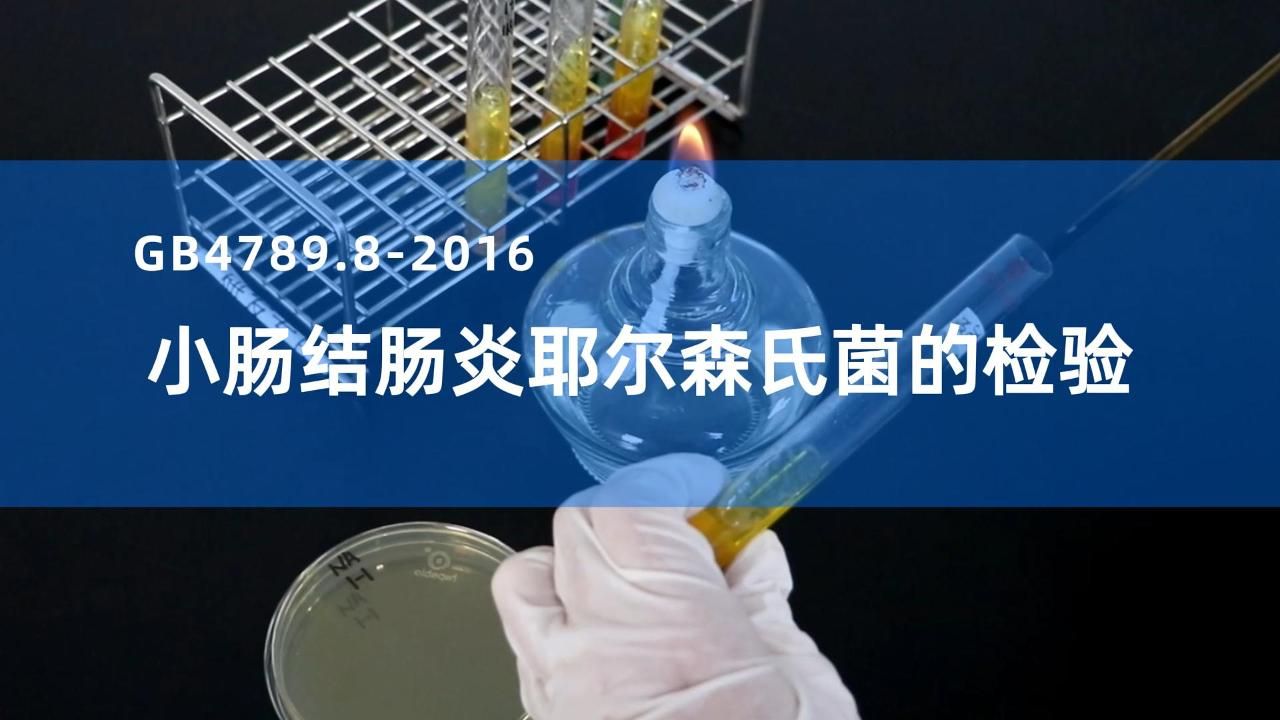 小肠结肠炎耶尔森氏菌的检验