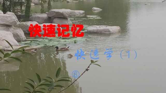 快速记忆分段教学7 文章背诵。结合实际,立竿见影。