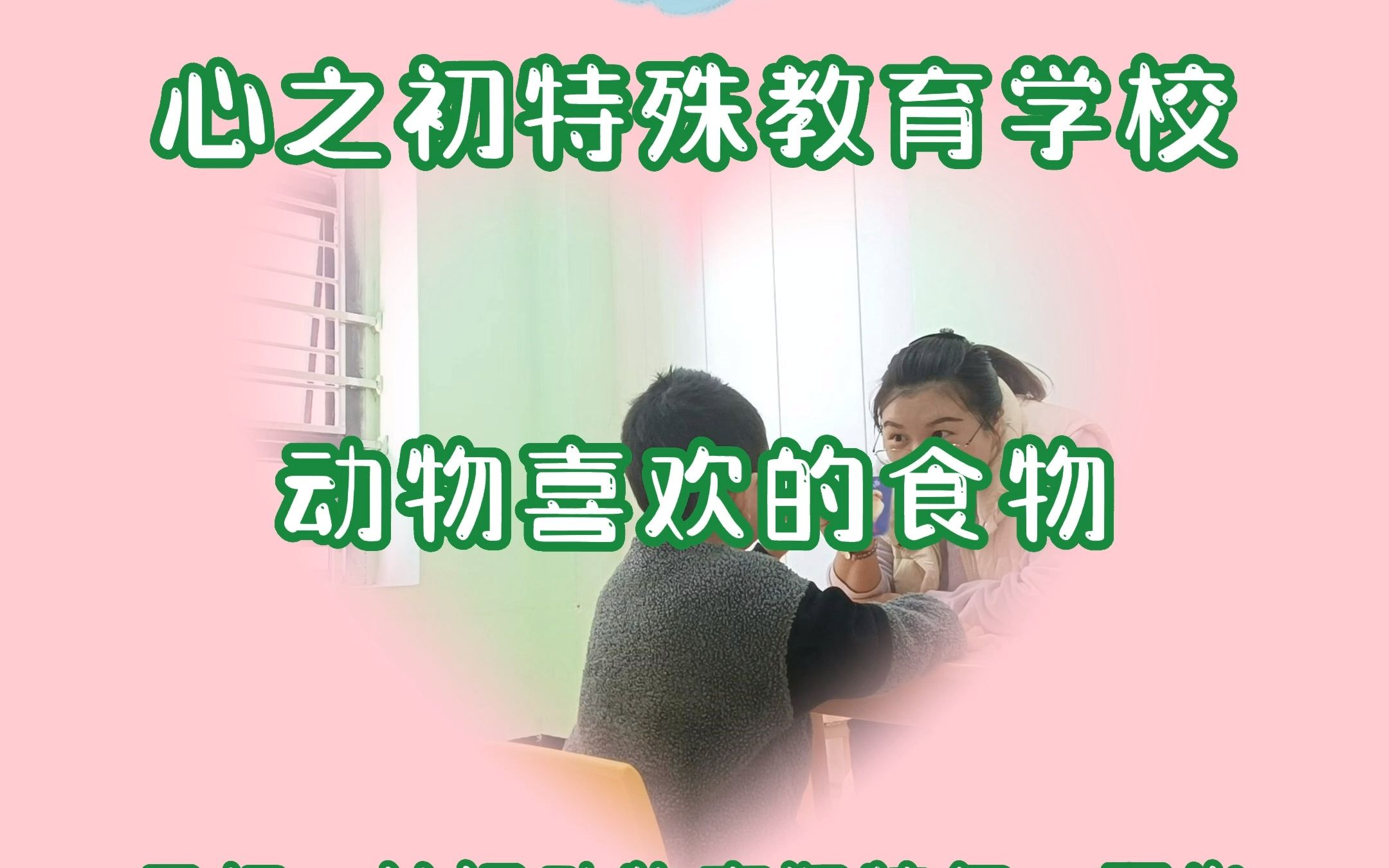 武汉自闭症特殊儿童教育小课题教学视频:动物喜欢的食物