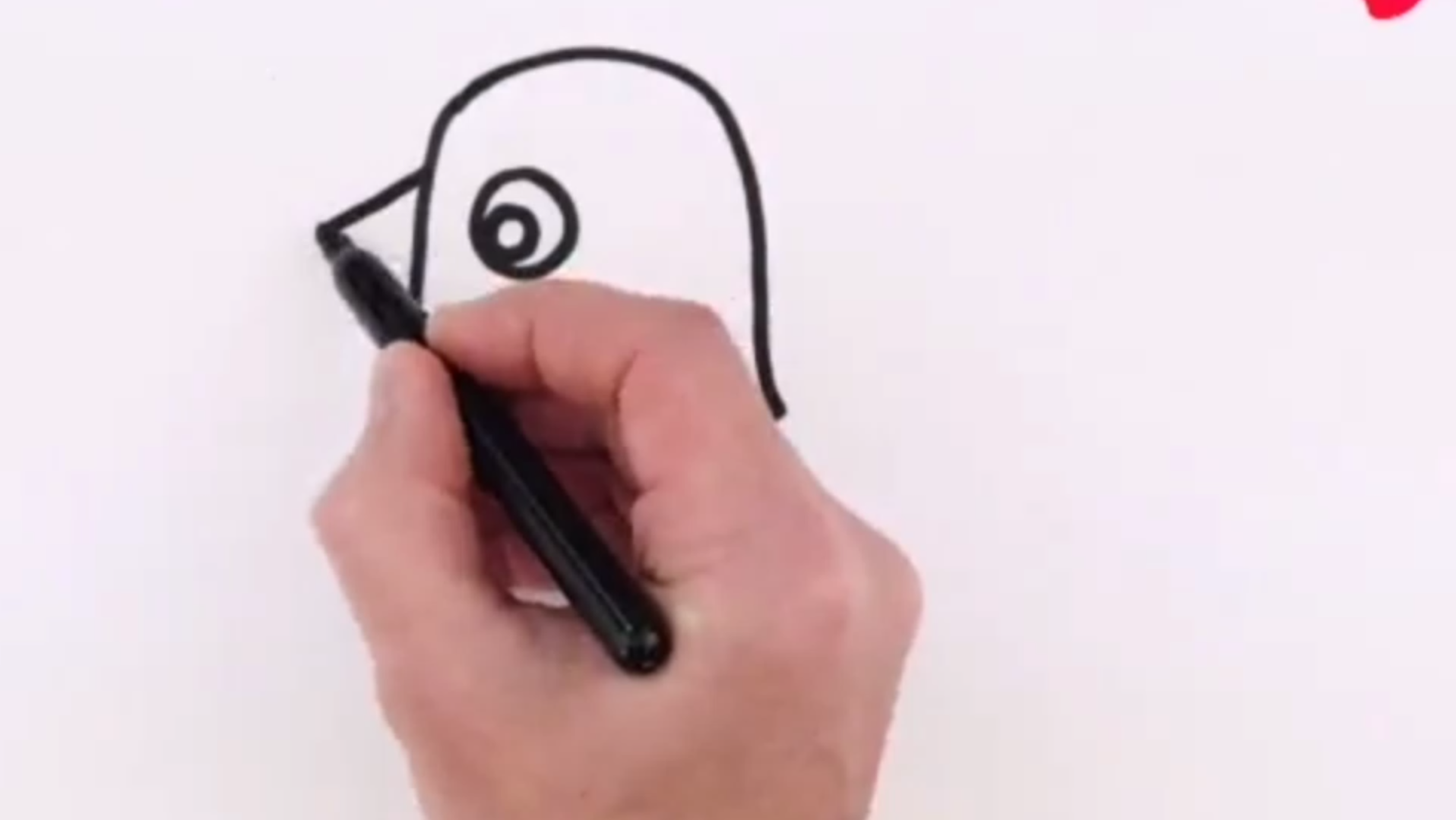 一起画小公鸡简笔画