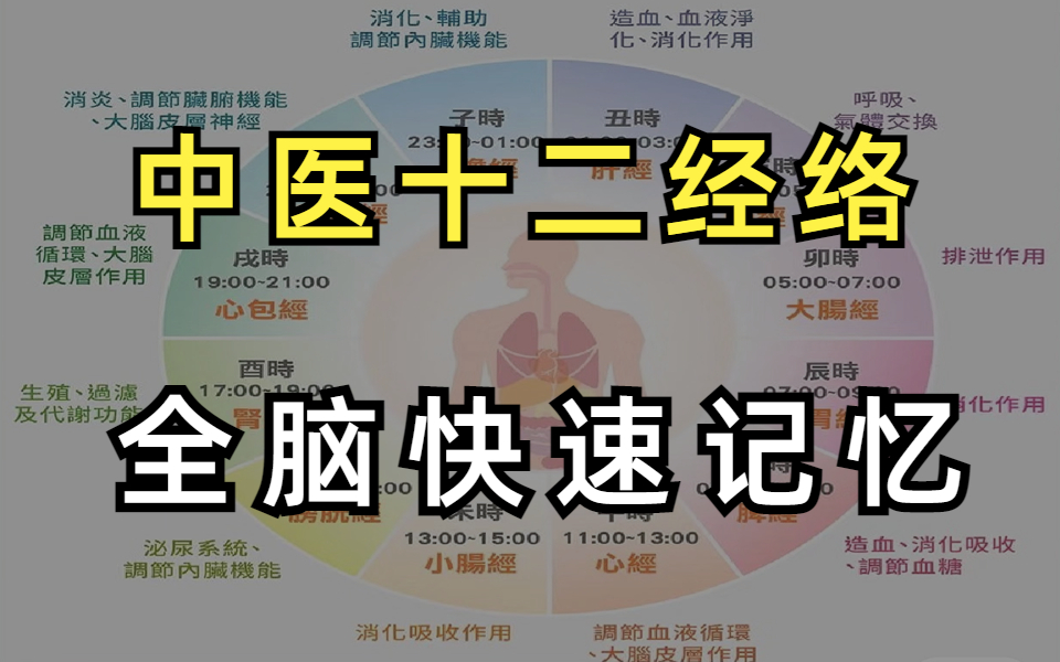5分钟记住十二经络!【中医经络穴位全脑记忆】手阳明大肠经循行及...