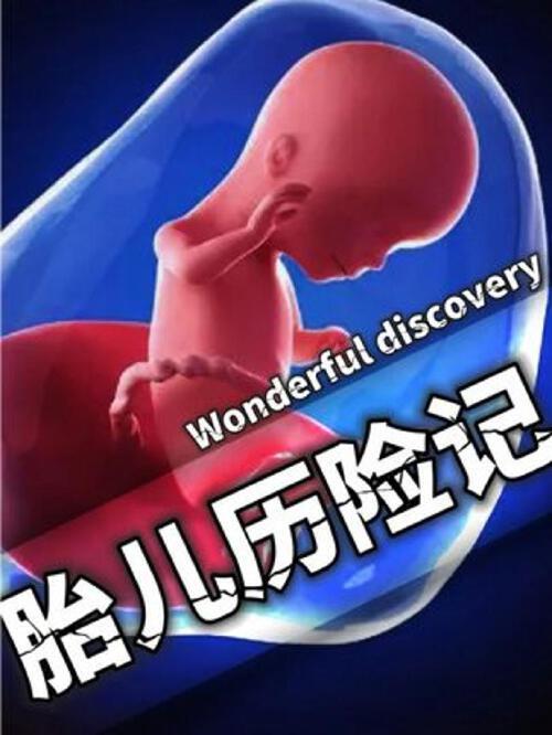 一起来观赏你我的生命诞生,从蝌蚪蜕变人的过程真的很神奇