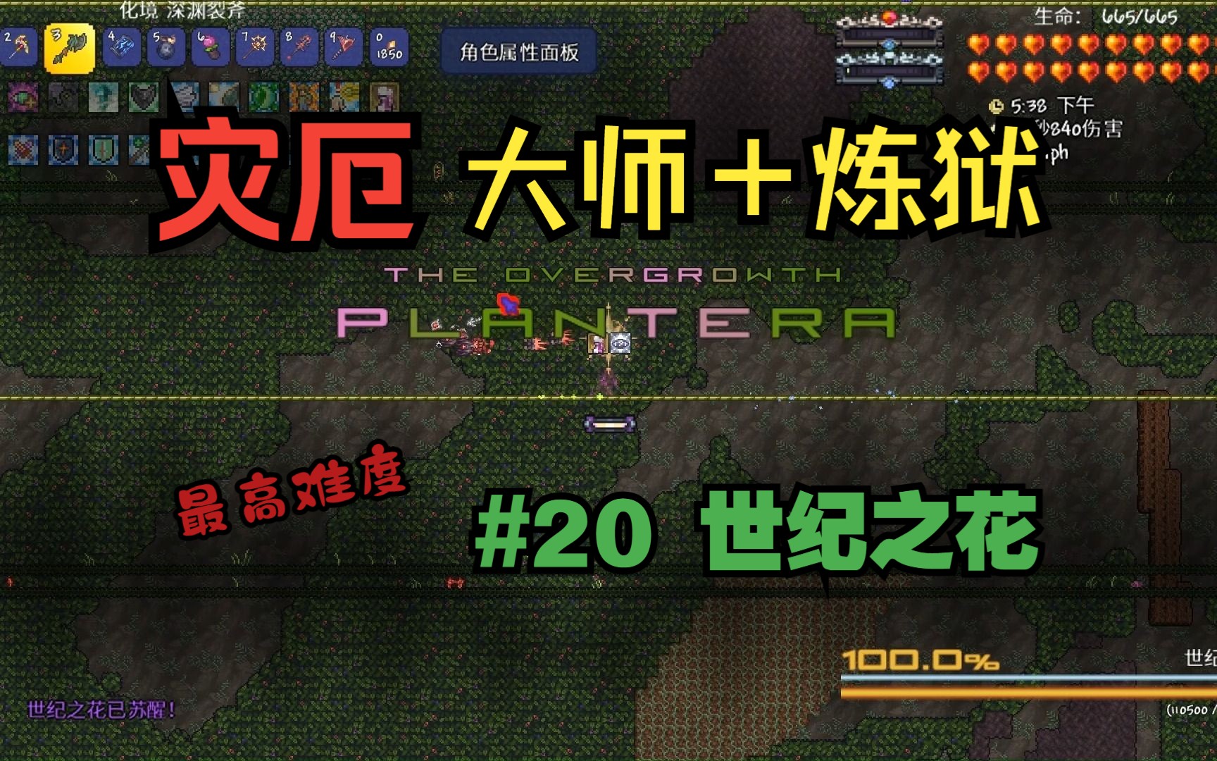 【泰拉瑞亚】灾厄 大师+炼狱模式 #20 世纪之花