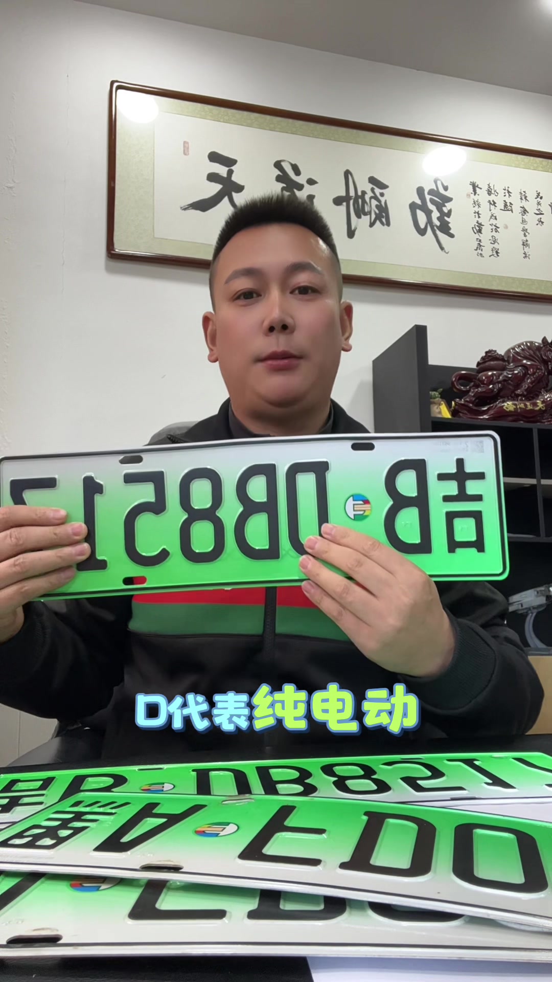 #绿牌电动车 #插电混动 #汽车知识分享 #纯电动汽车 #绿牌