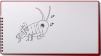益智美术课堂 动物简笔画 第16集 唱歌的蝈蝈