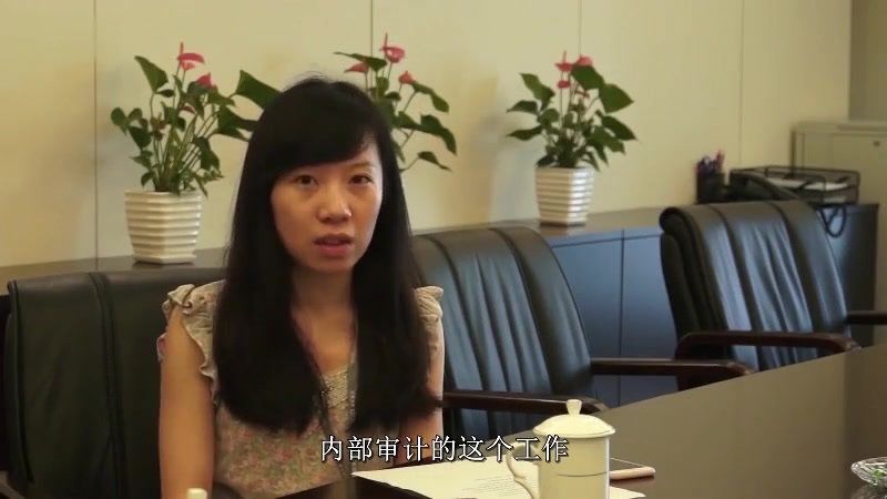 审计人员是做什么的?审计行业洞察
