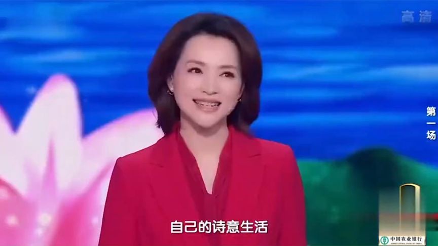 中国诗词大会:董卿的开场白绝了,堪比写作.