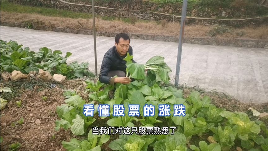 隐居大山全职炒股,选股如选老婆,越熟悉股票越能把握它涨跌规律