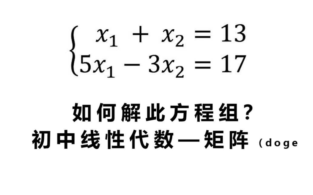 【整活】如何解二元一次方程组?