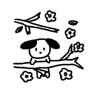 李同学大聪明OvO 
