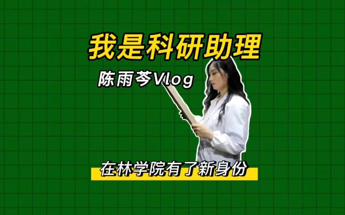 我是科研助理丨陈雨芩:在林学院有了新身份