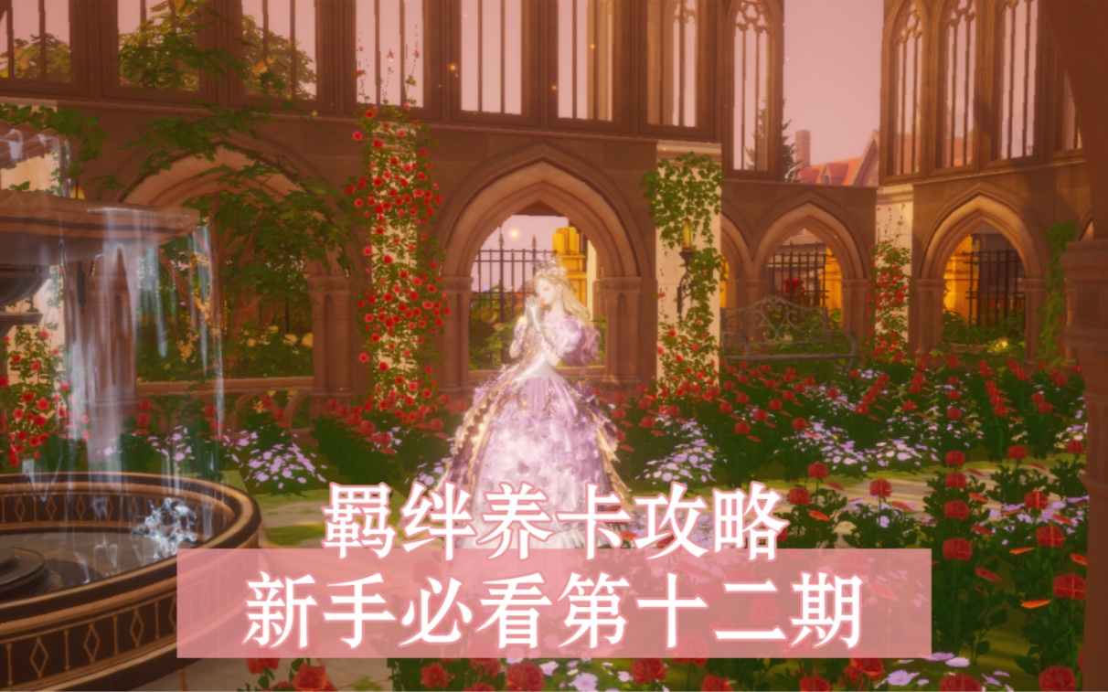 羁绊养卡攻略～新手必看第十二期【以闪亮之名】