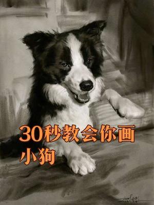 三十秒教会你画小狗