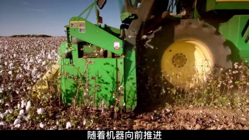 探访轧棉厂,2分钟带你了解新鲜采收的棉花是如何进行初加工的