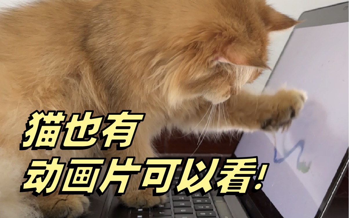 猫动画片超长纯享版(请保护好手机⚠️)