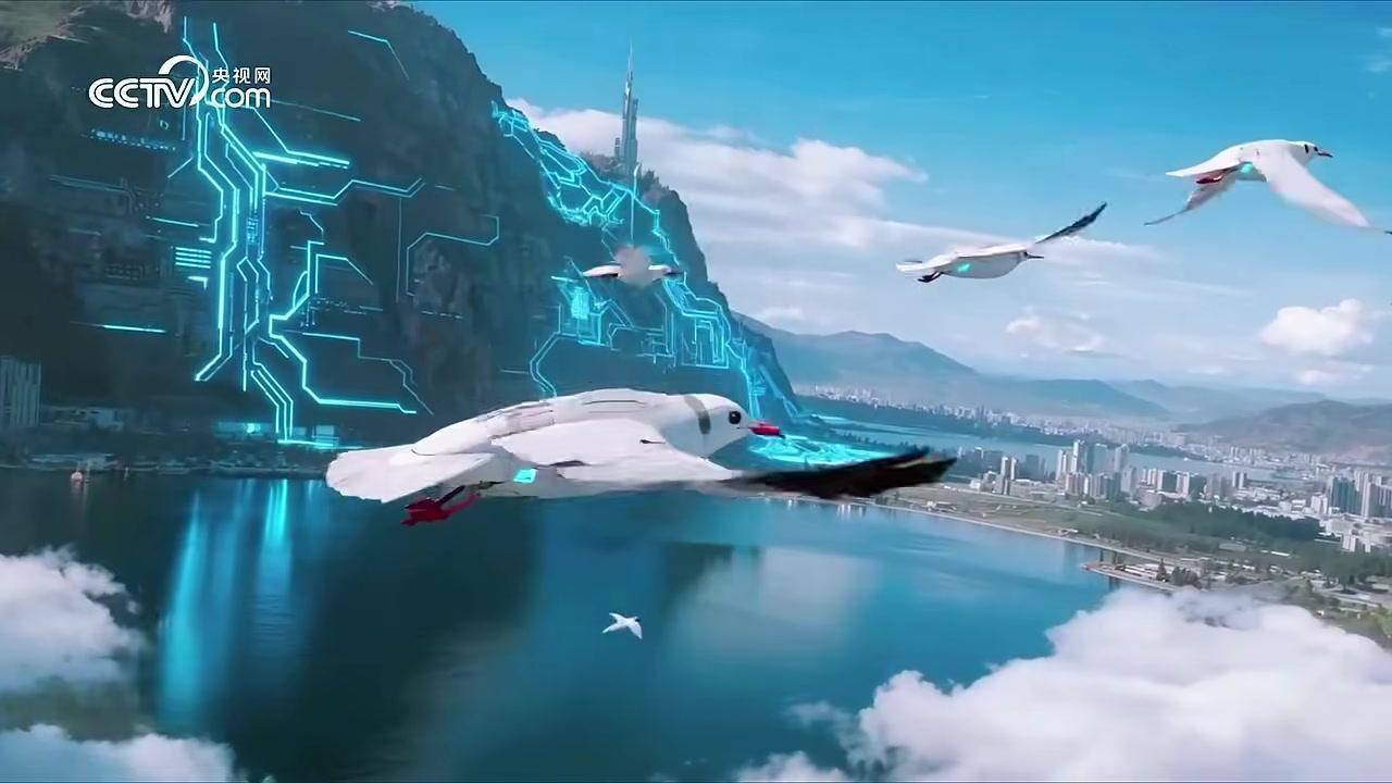 2025网络安全宣传周宣传片《彩云织网安全同行》#2025网络安全宣传...