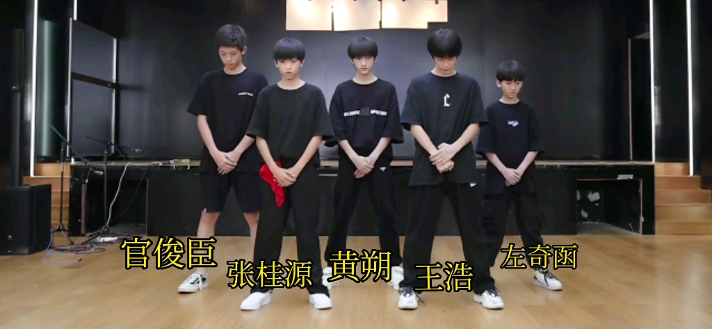 【TF家族四代】四代已经有14个小孩了,认人了