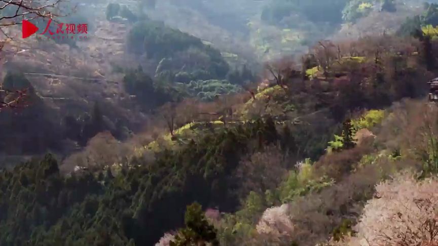 防灾减灾救灾科普知识宣传|世界地球日