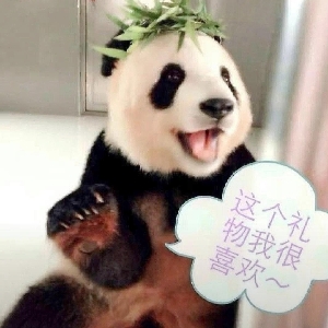 赌书泼茶也寻常 