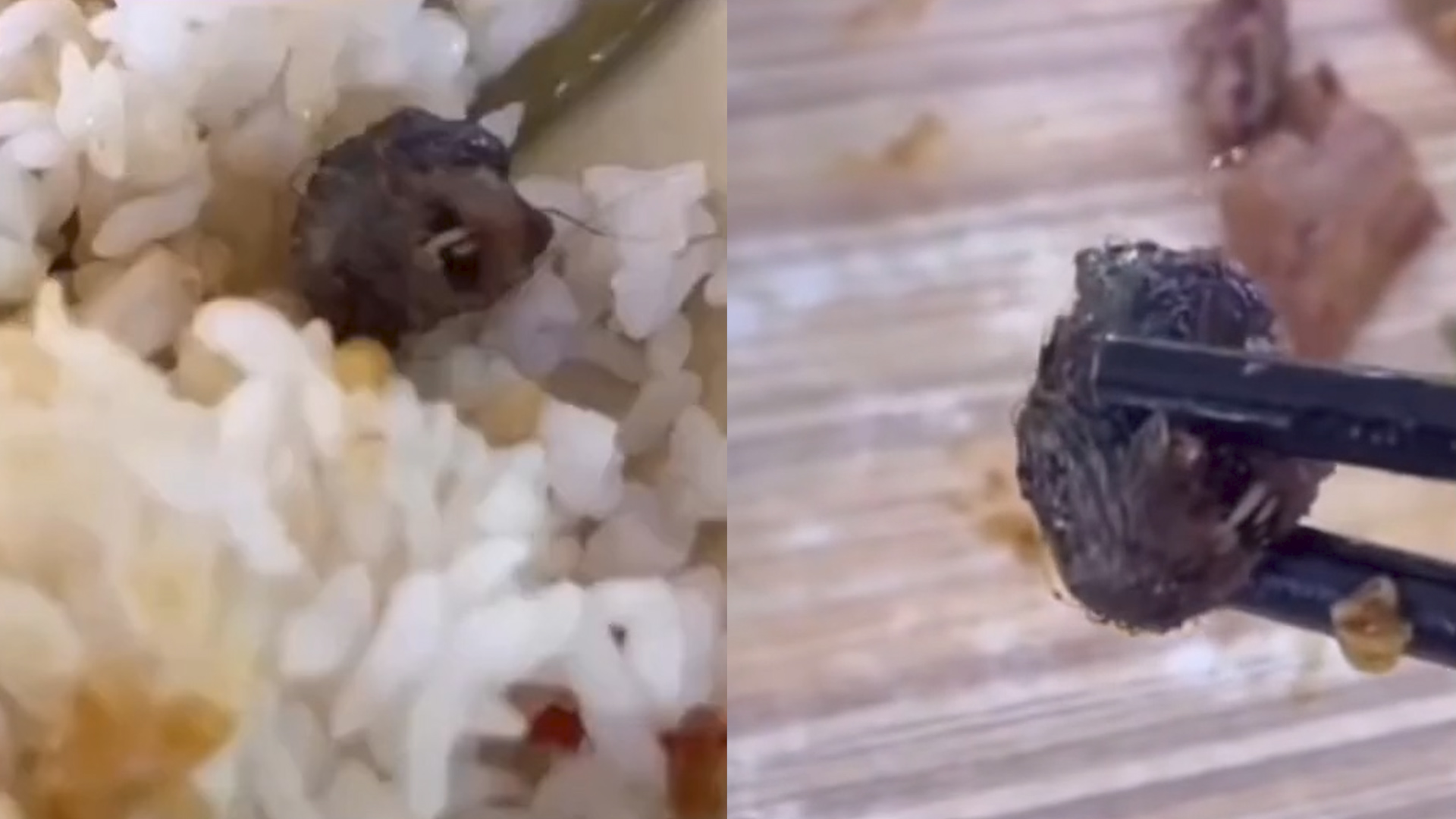 “鸭脖鼠头”事件持续发酵:出镜局长遭举报,涉事学校疑刷屏控评