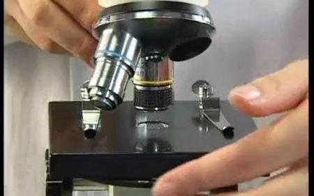 1.130高中生物必修一实验3.使用高倍显微镜观察几种细胞