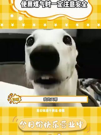 大家一定要注意安全啊 #煤气安全 #保命知识