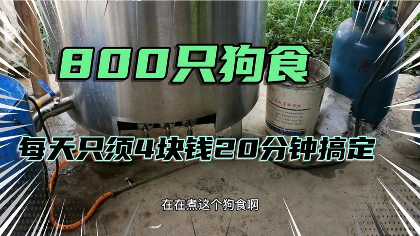 如何正确使用燃气灶,每天只发4块钱20分钟搞定800只狗食