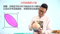 叶形面积计算,你会吗?