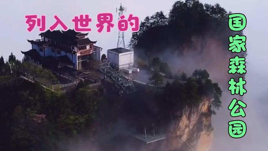被世界列入的地质公园自然遗产5A级旅游景区,张家界国家森林公园