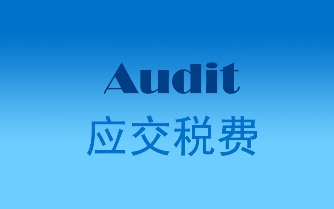 【教程/自学】十分钟,学会涂审计底稿-第七课-应交税费