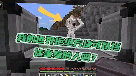 MC拒绝方块挑战防御害羞的人