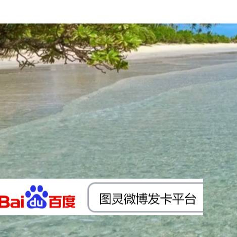 混乱钟锤 