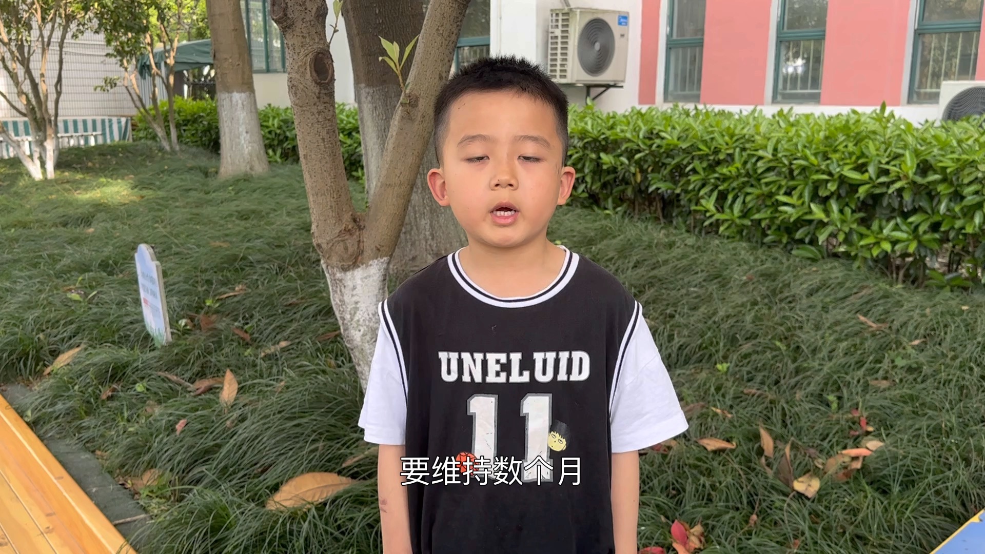 赵幼大一班枇杷树介绍