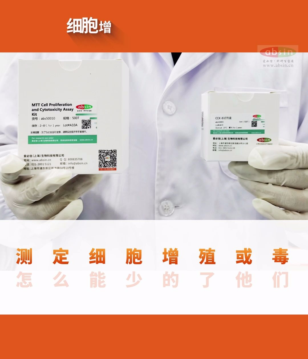 absin细胞增殖及细胞毒性检测试剂盒:CCK8和MTT