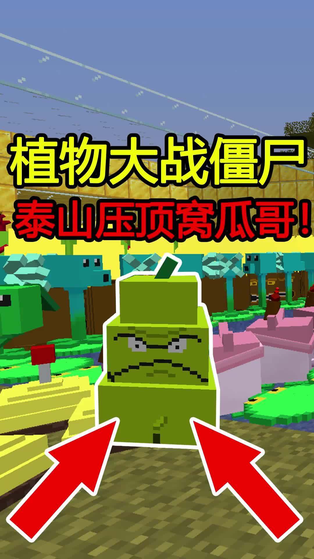 我的世界:植物大战僵尸,第三十期!兄弟们!