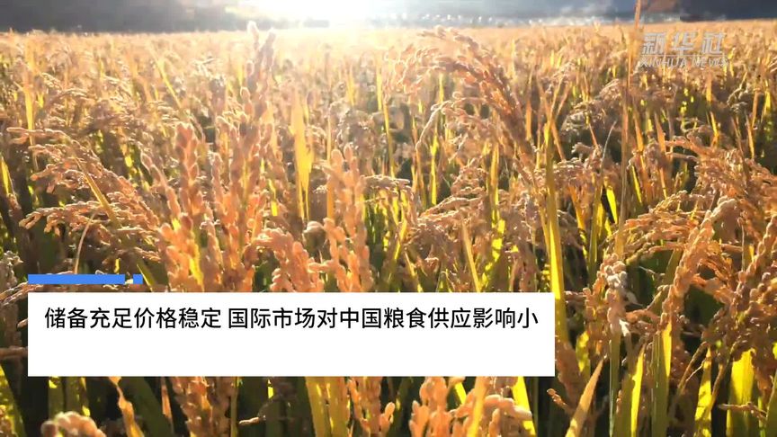 中国财富报道|储备充足价格稳定 国际市场对中国粮食供应影响小