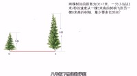 勾股定理的运用,两树间的距离和两树高度及小鸟飞行速度,求小鸟从一...