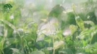 美肌颜护肤品关晓彤代言广告视频