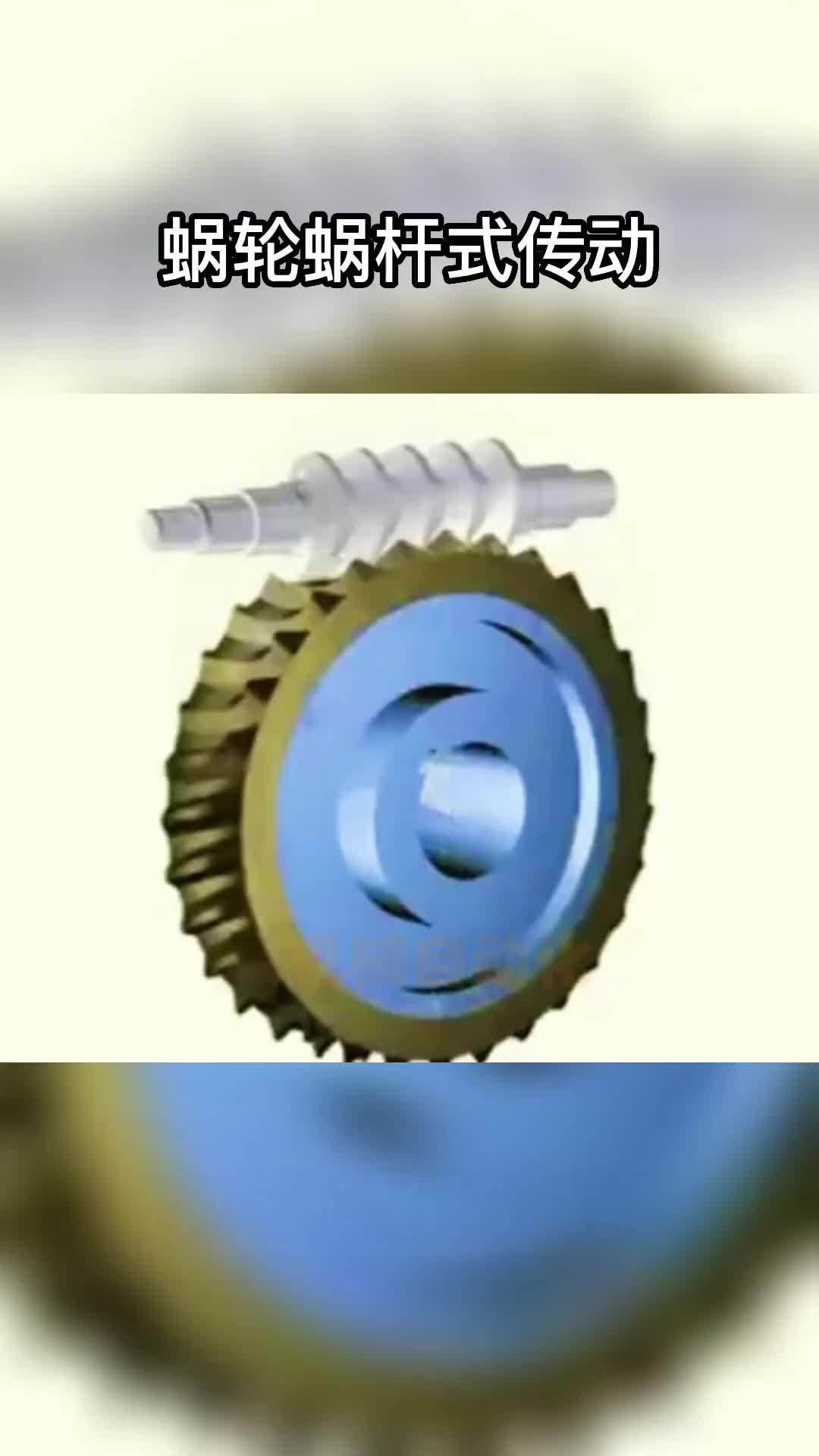 蜗轮蜗杆式传动