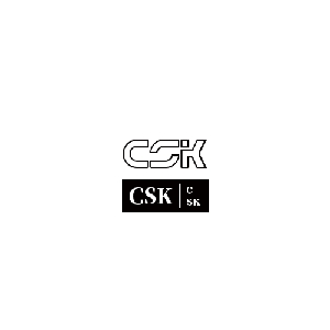 CSK自动化设计平台 