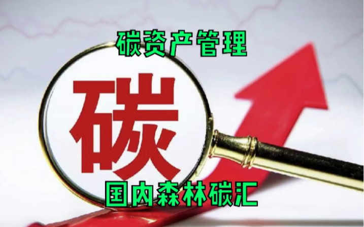 碳资产管理:国内森林碳汇现状