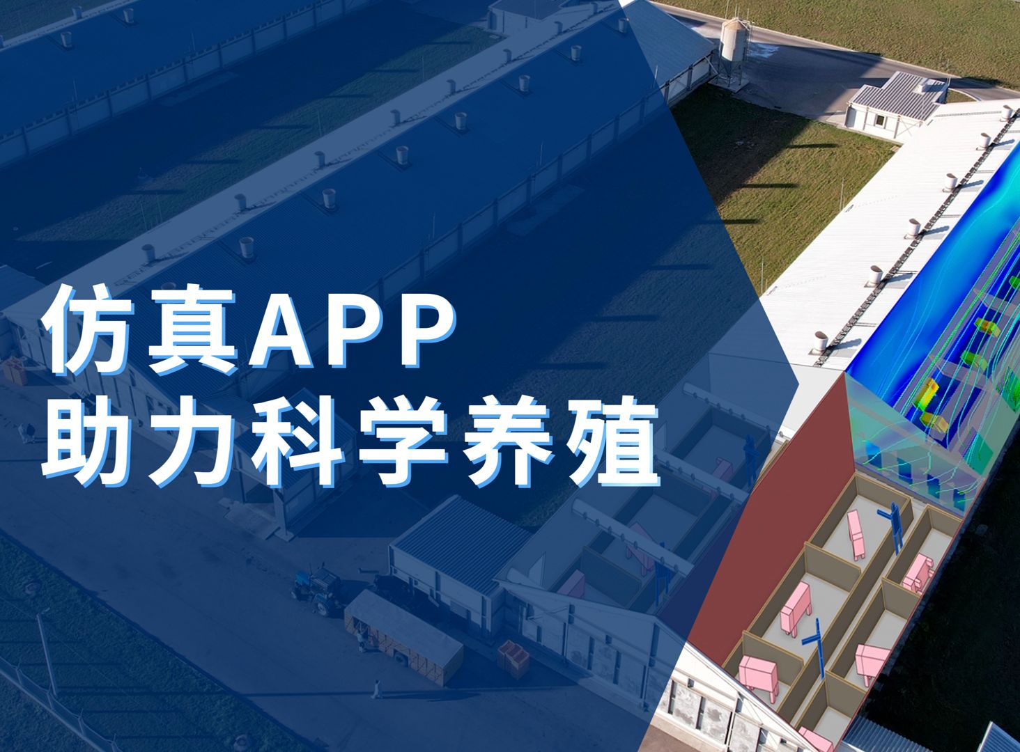 CAE仿真技术如何助力科学养猪?