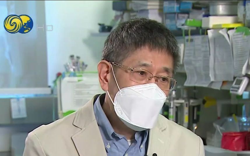 香港曝全球首例仓鼠感染新冠,动物会传人吗?专家解读