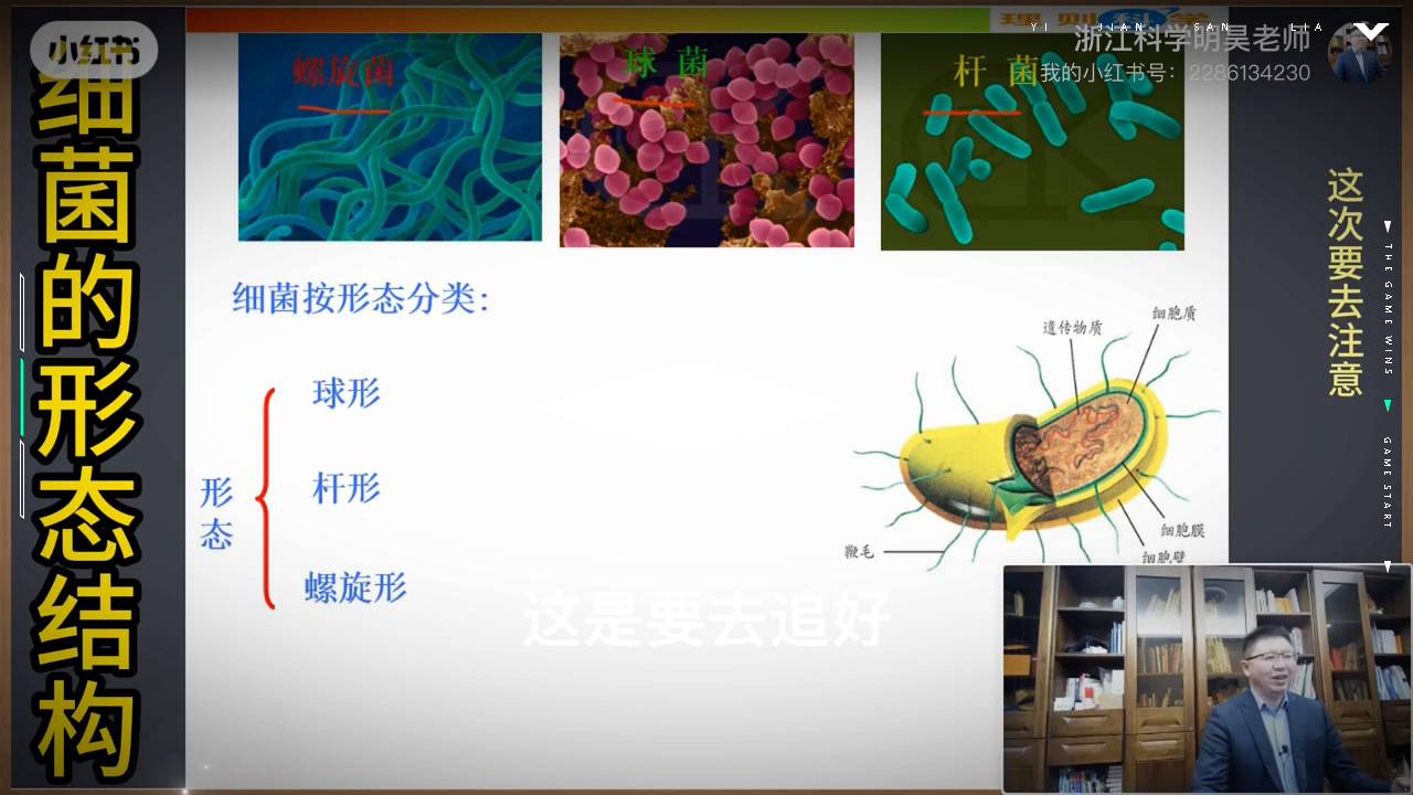 浙江科学七下细菌的形态结构
